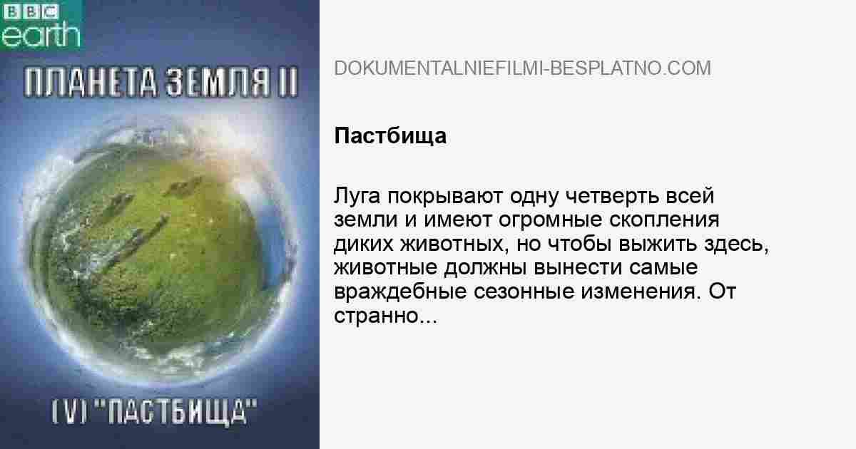 Пастбища - Документальные фильмы бесплатно